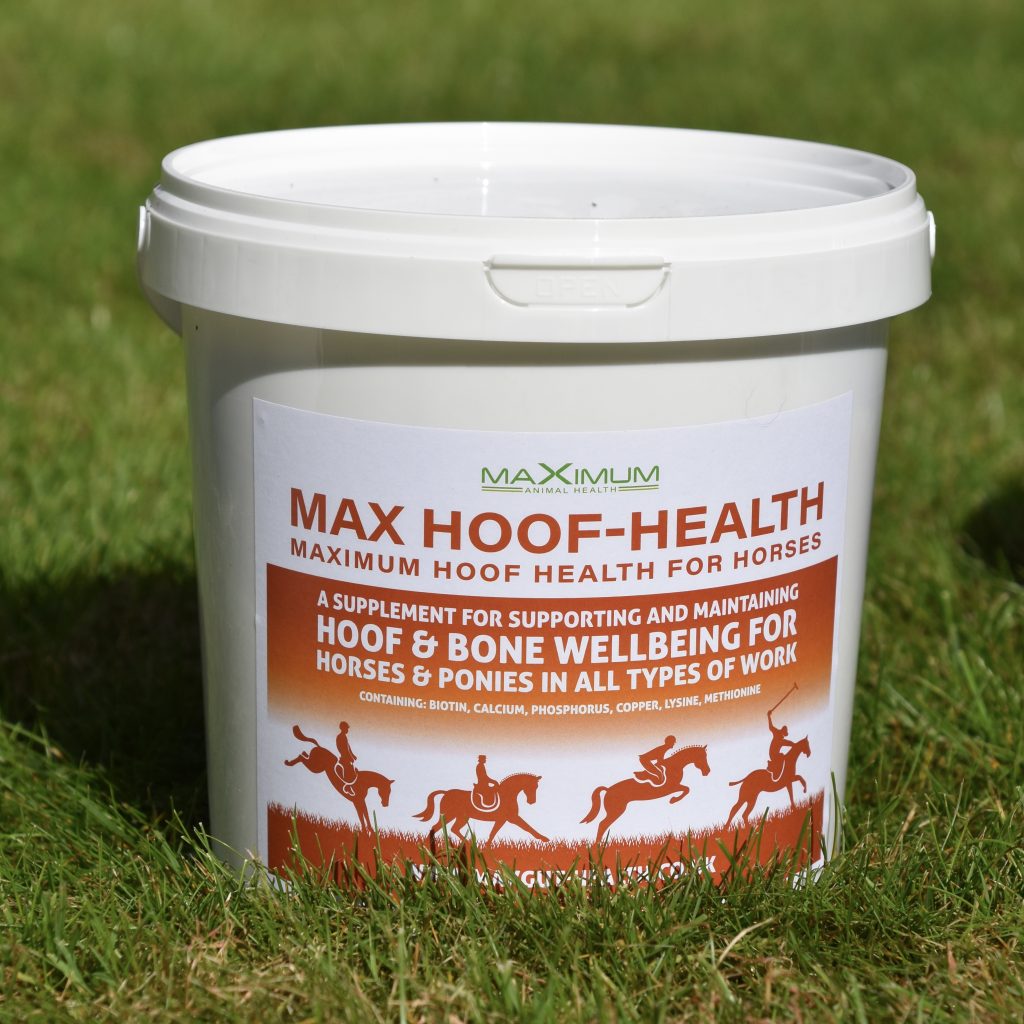 Max Hoof Health - Hoof Supplement For Horses